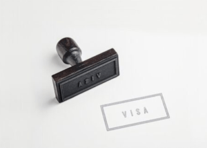 Saudi Arabia suspends block work visas for 14 countries, including India