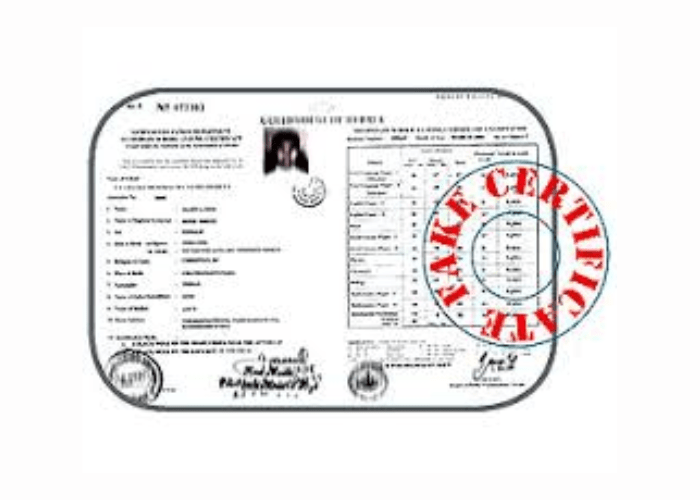 1,000+ govt workers under probe for fake caste claims in Madhya Pradesh